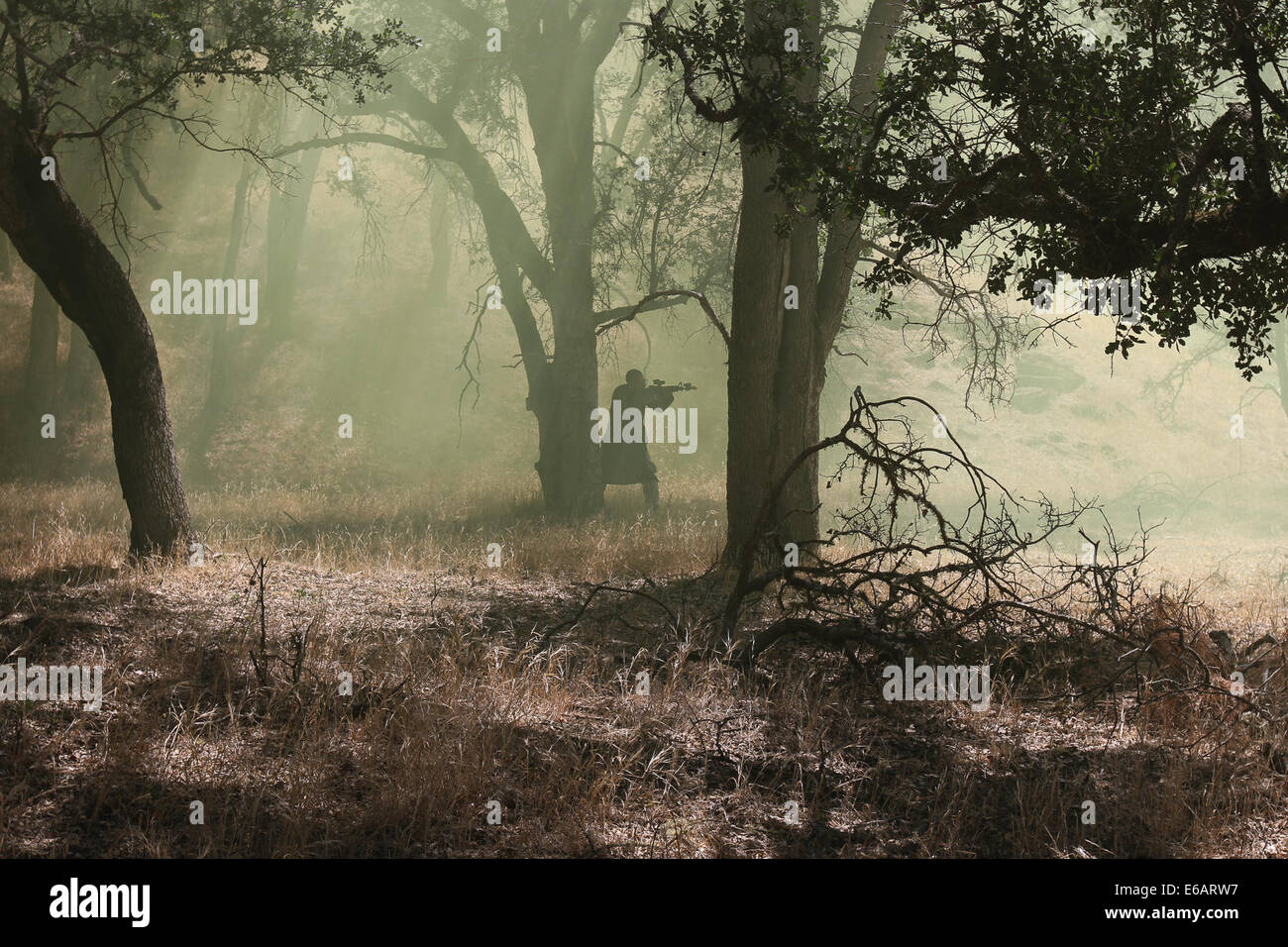 A U.S. Soldier with the 1st Battalion, 160th Infantry Regiment, 79th ...