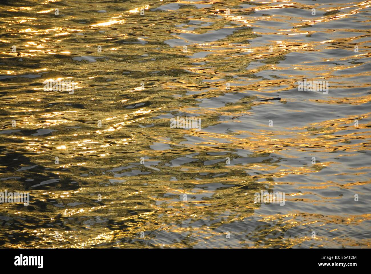 Golden sea water surface hi-res stock photography and images - Alamy
