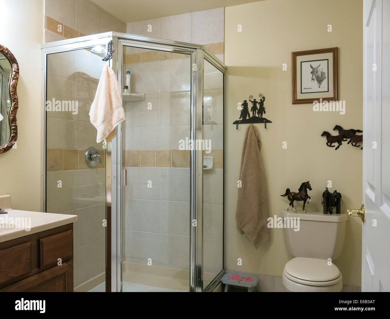 ;Western Theme Contemporary Bathroom, USA Stock Photo - Alamy