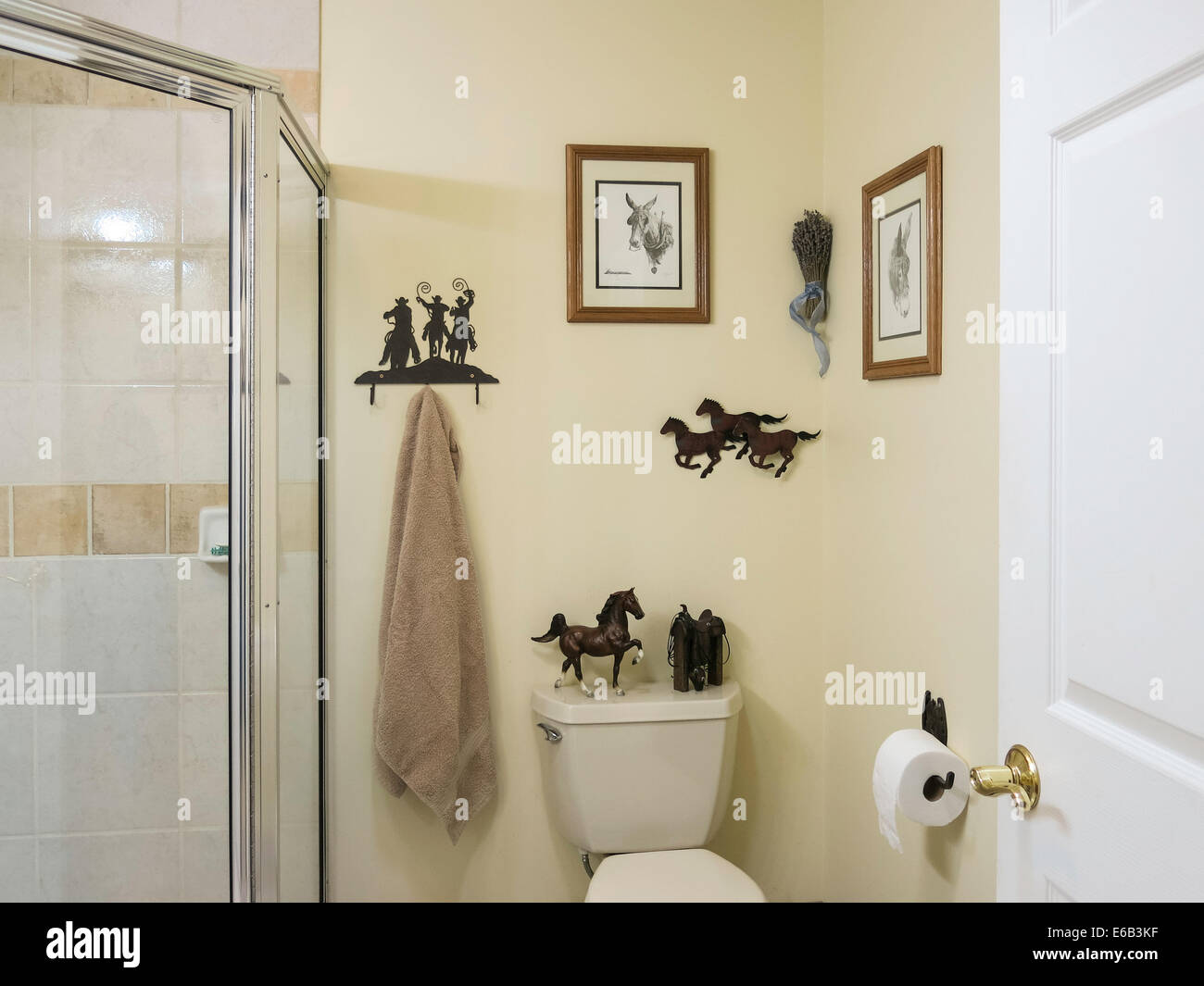 Western toilet hi-res stock photography and images - Alamy