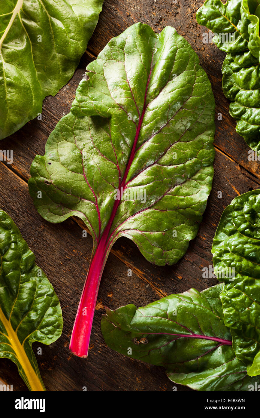 Rainbow swiss chard hi-res stock photography and images - Alamy