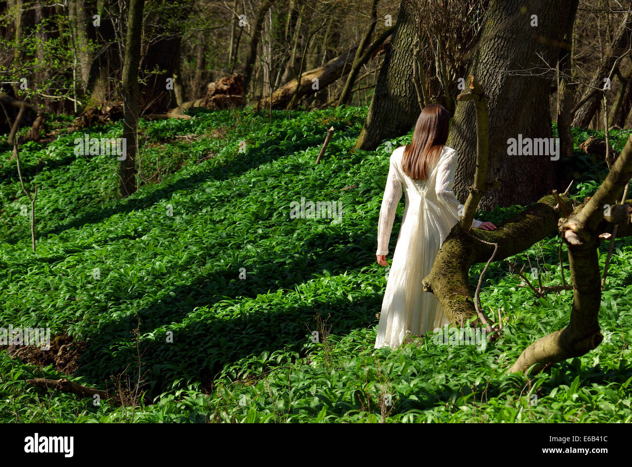 Woman female ladies period dress hi-res stock photography and images ...