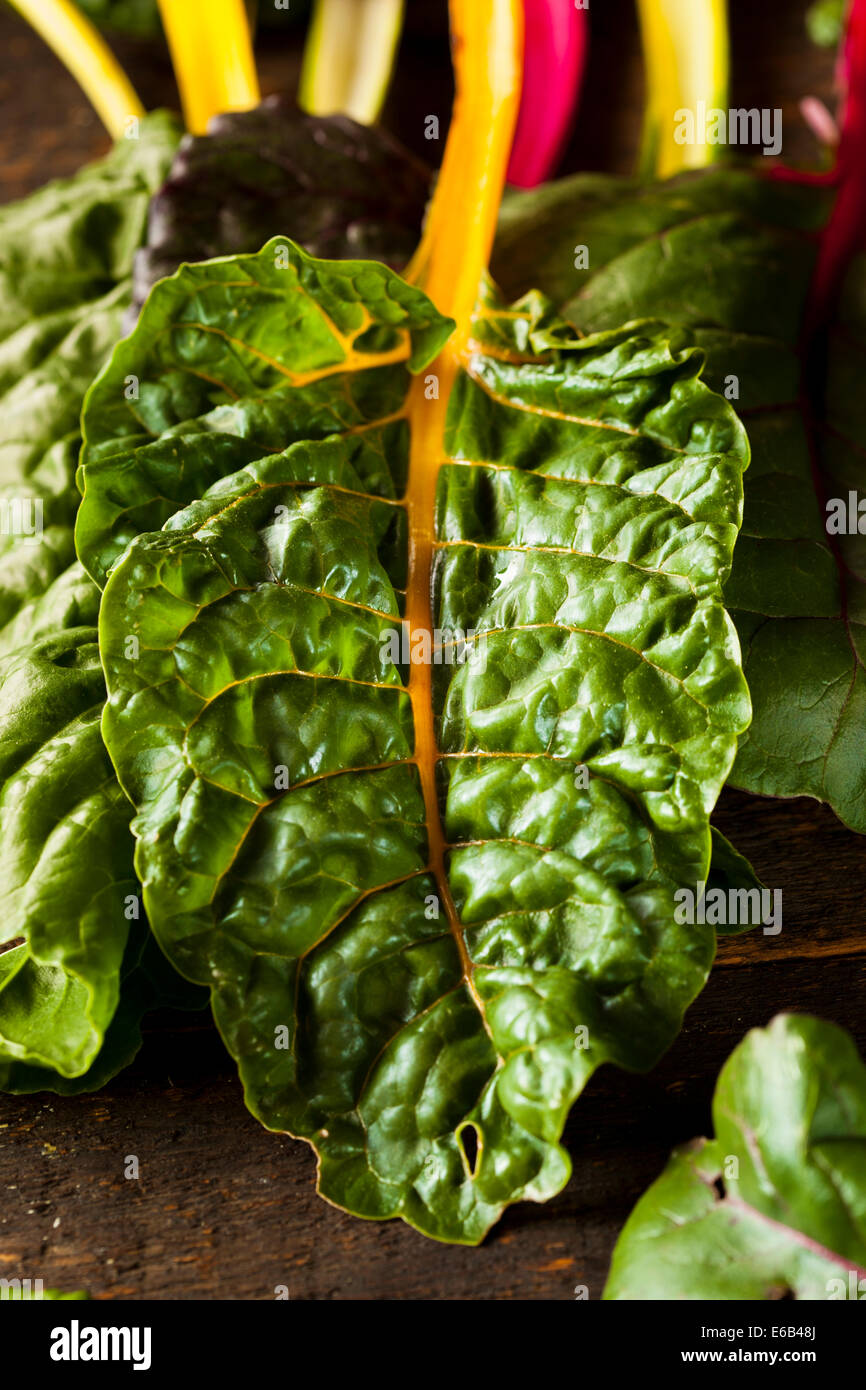 Rainbow swiss chard hi-res stock photography and images - Alamy