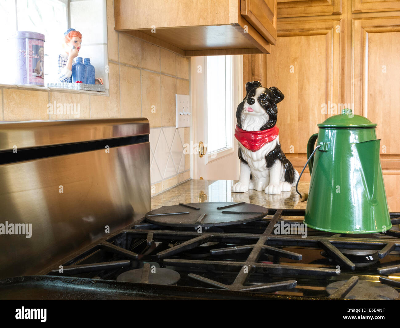 Kitchen Stovetop with Novelty Border Collie Cookie Jar, USA Stock Photo ...