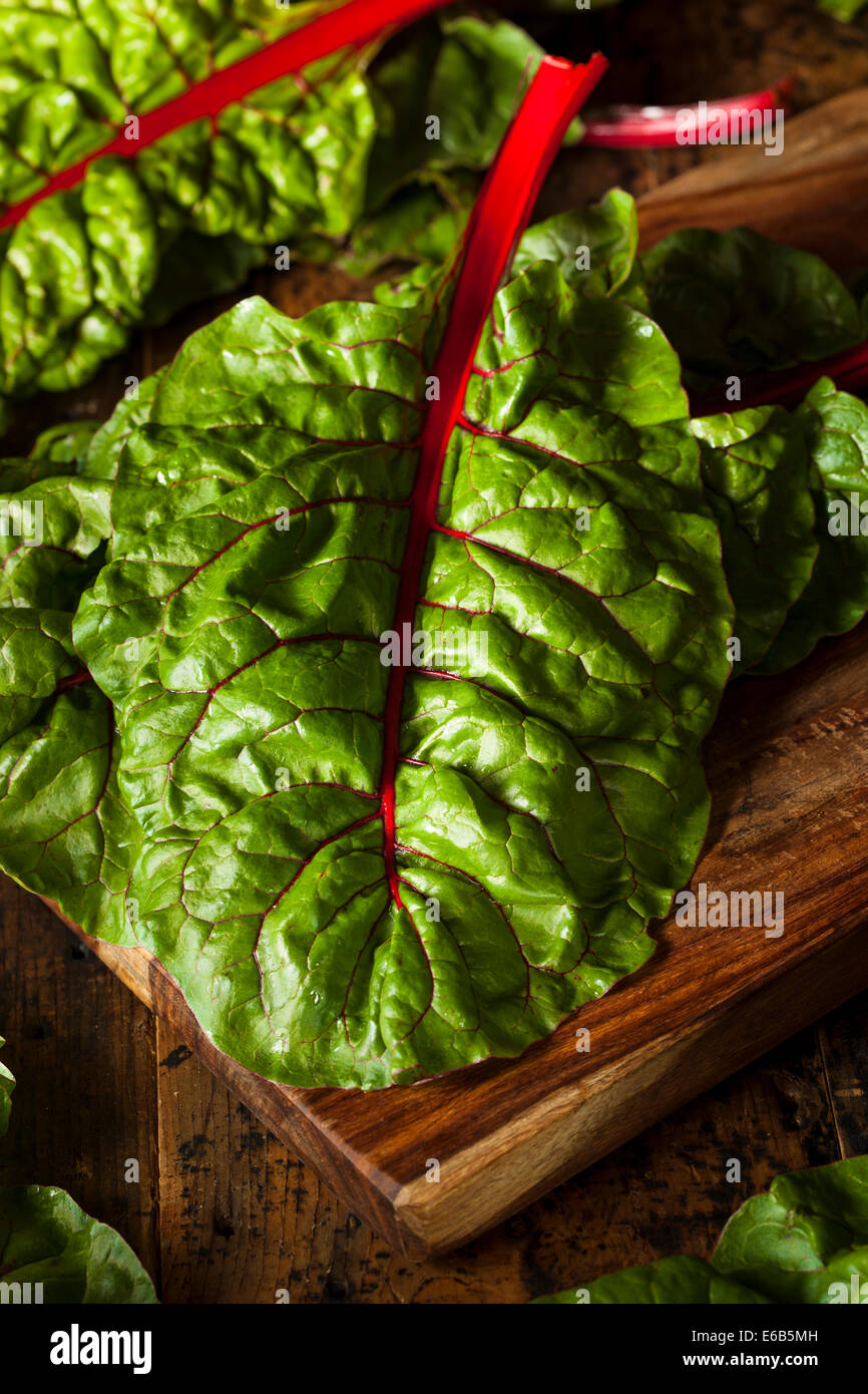 Red swiss chard hi-res stock photography and images - Alamy