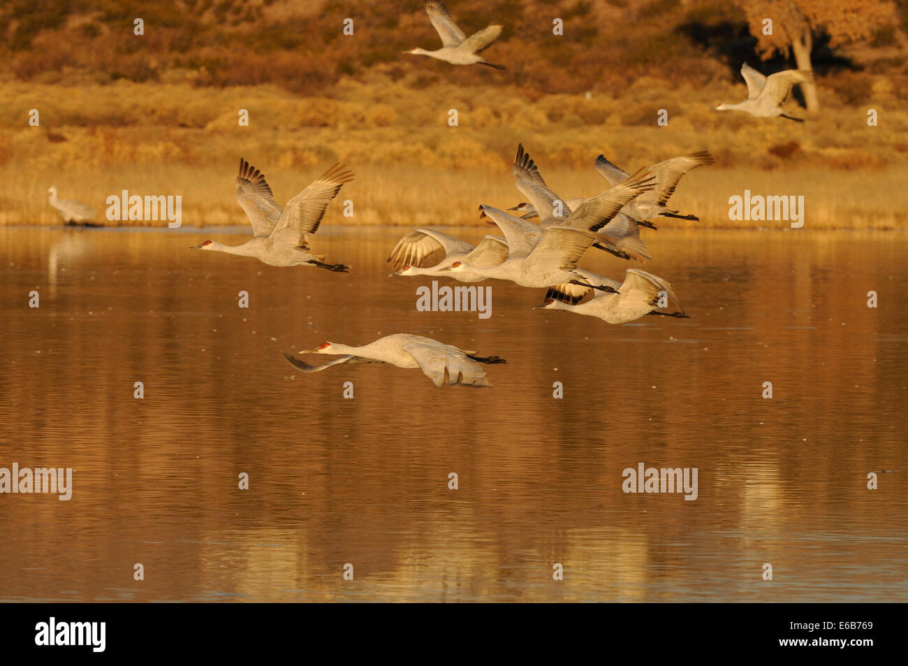 Iron rich spring water hi-res stock photography and images - Alamy