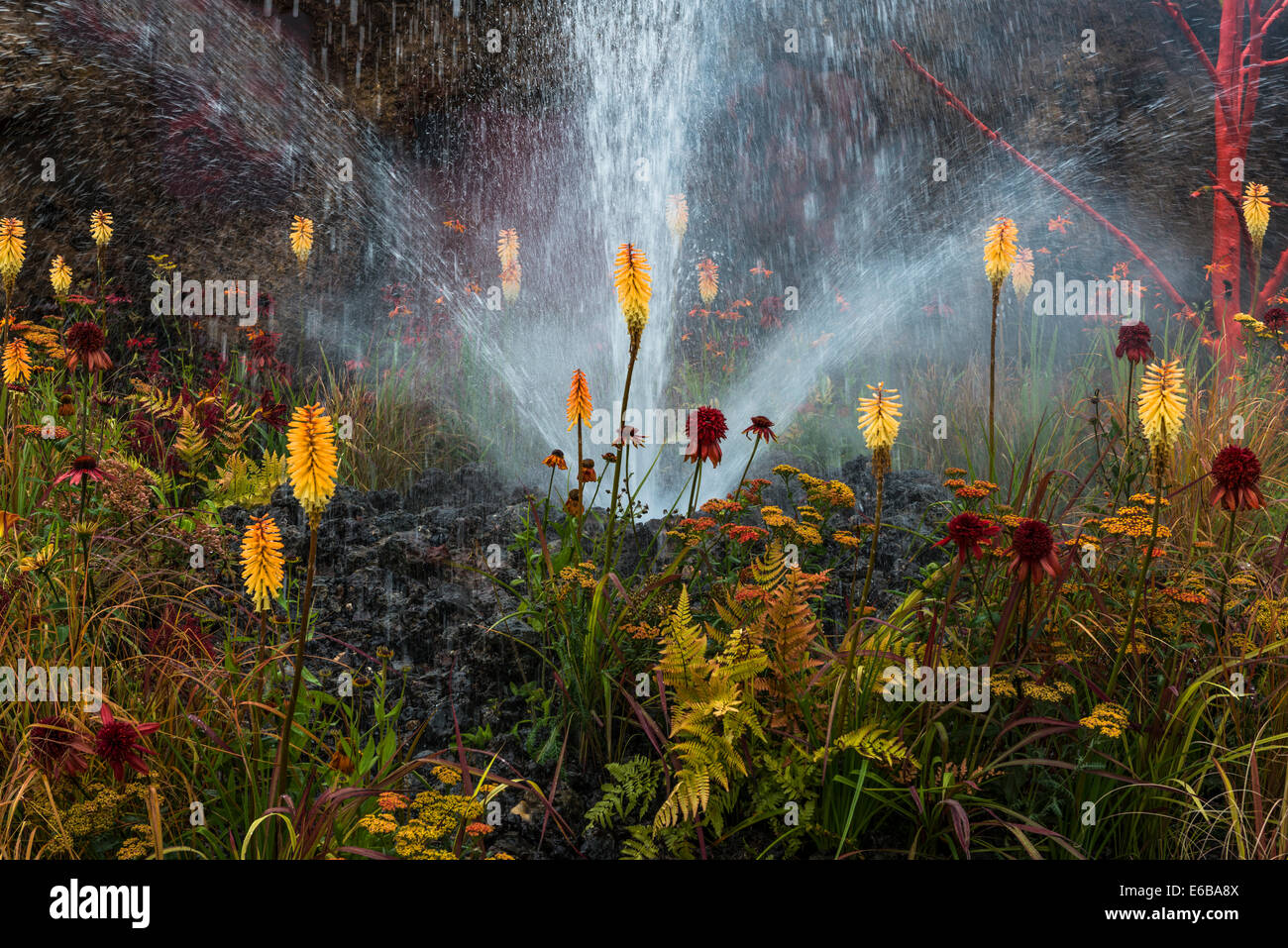 Sprinkler in the garden watering flowers Stock Photo - Alamy