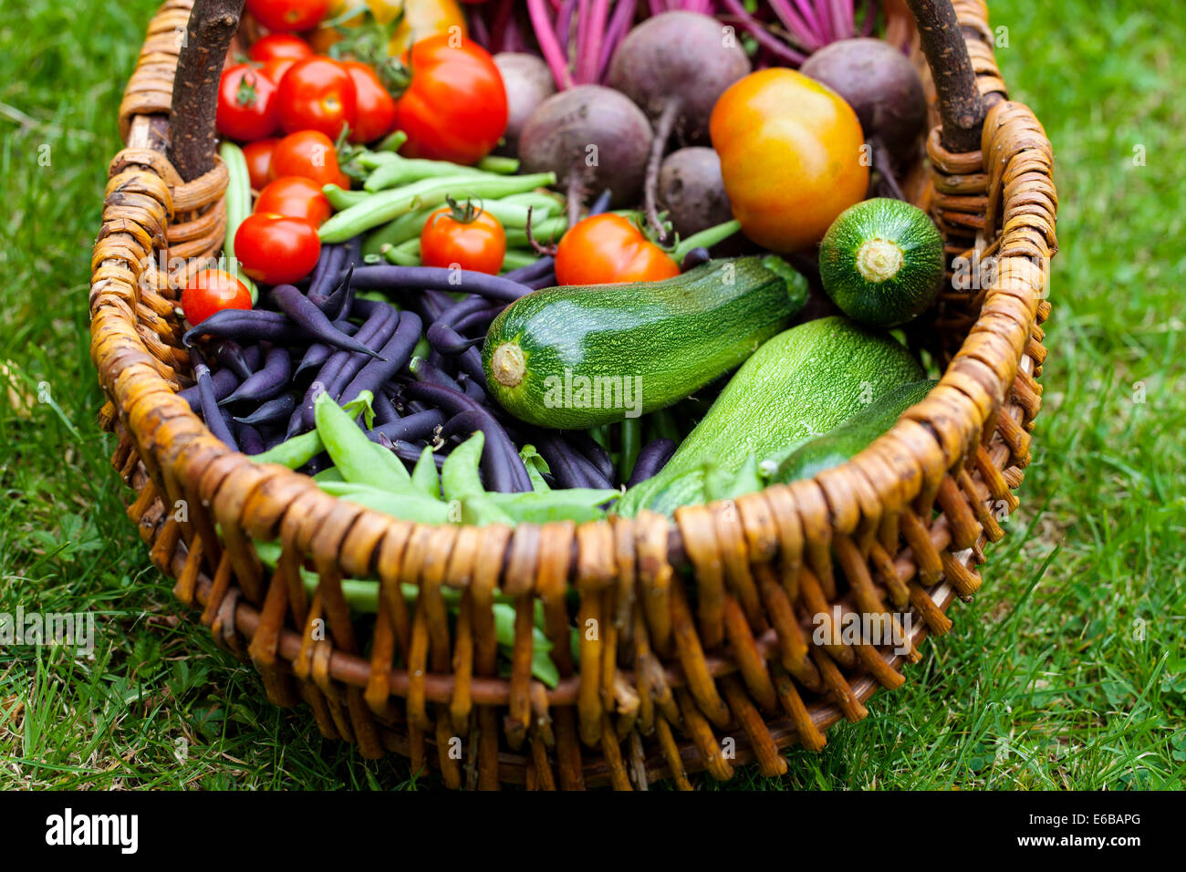 Green bean basket hi-res stock photography and images - Alamy