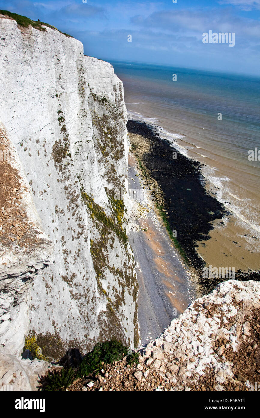 White cliffs with green trees hi-res stock photography and images - Alamy