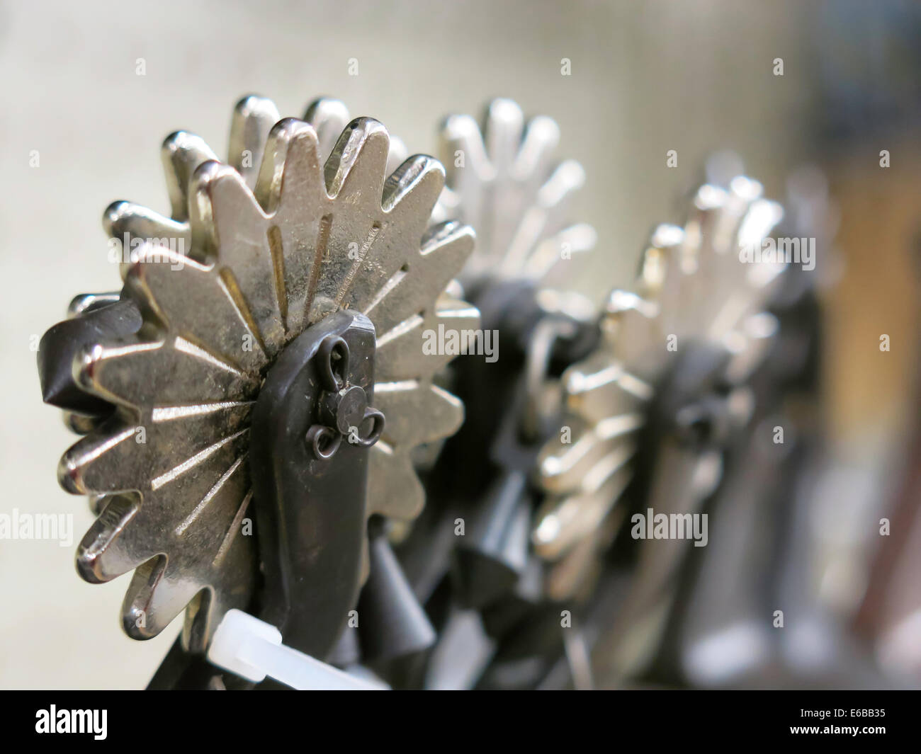 Rowel spurs hi-res stock photography and images - Alamy