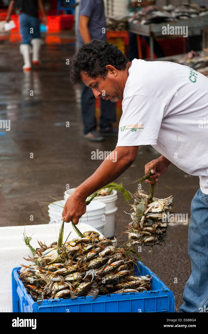 Veracruz, veracruz mexico fish hi-res stock photography and images - Alamy