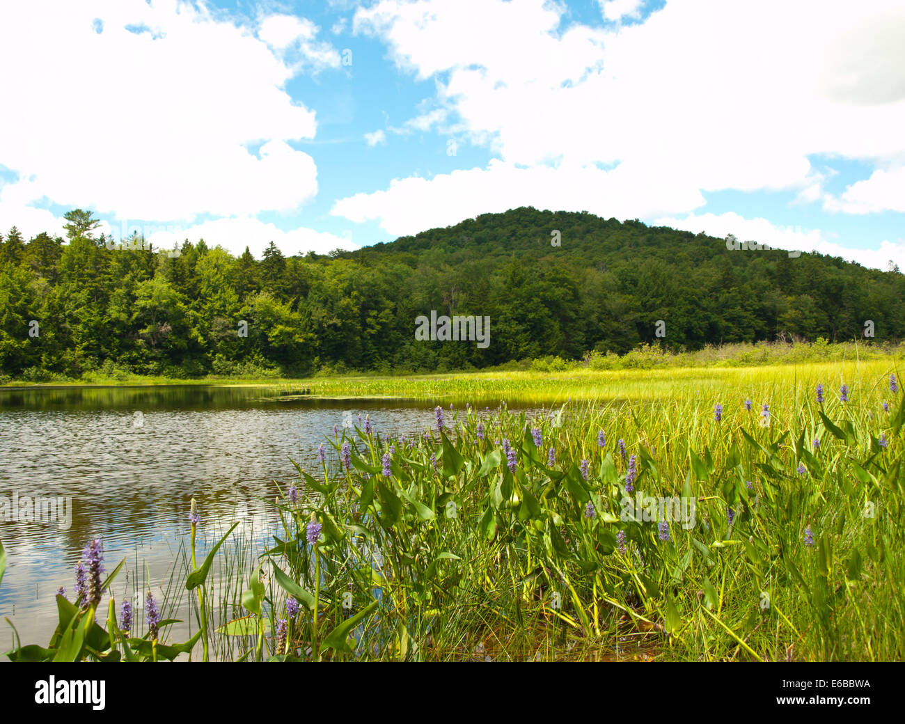 Adirondack park new york hi-res stock photography and images - Alamy