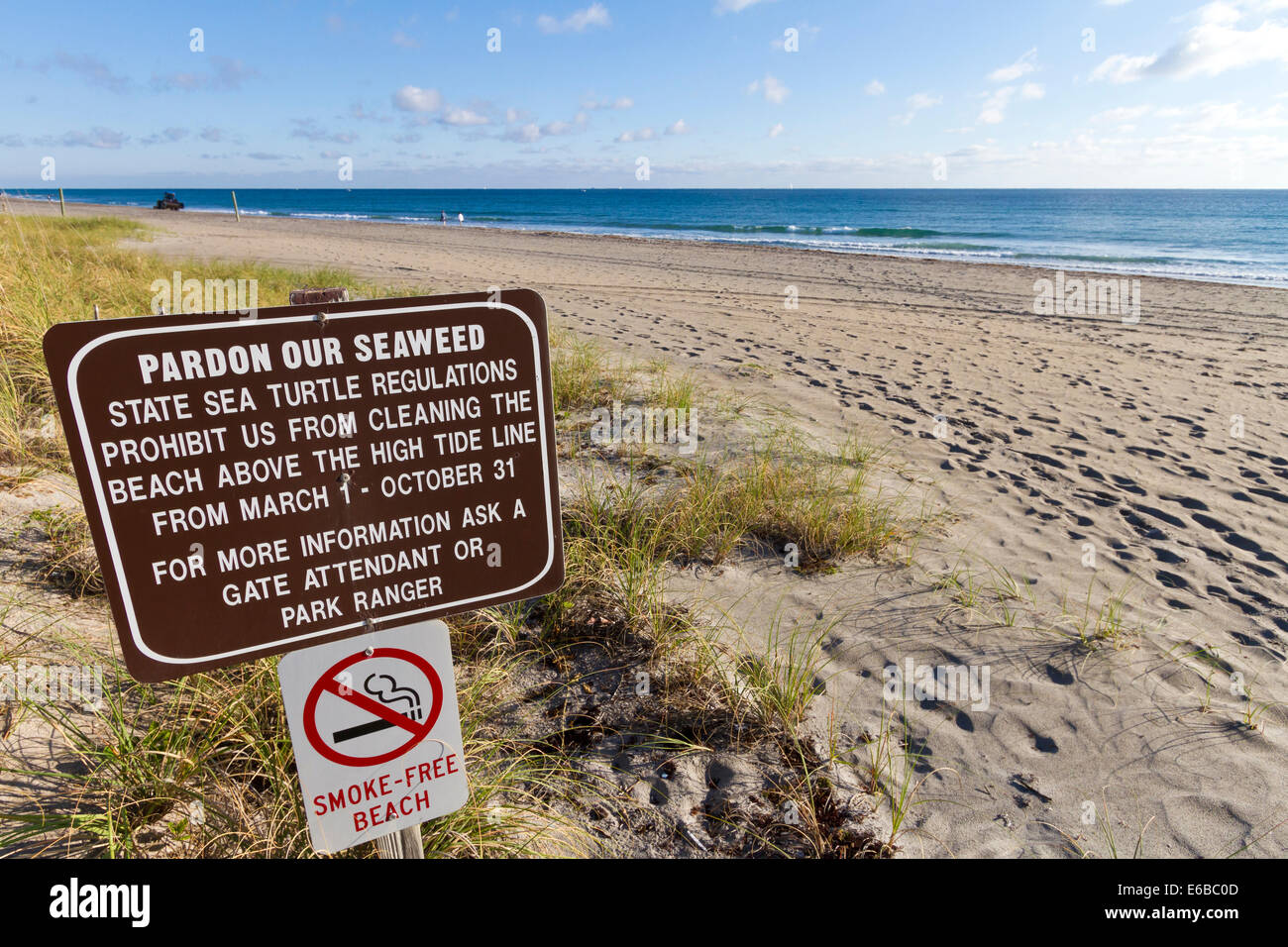 USA, Florida, Boca Raton. A warning sign warning of seaweed that cannot ...