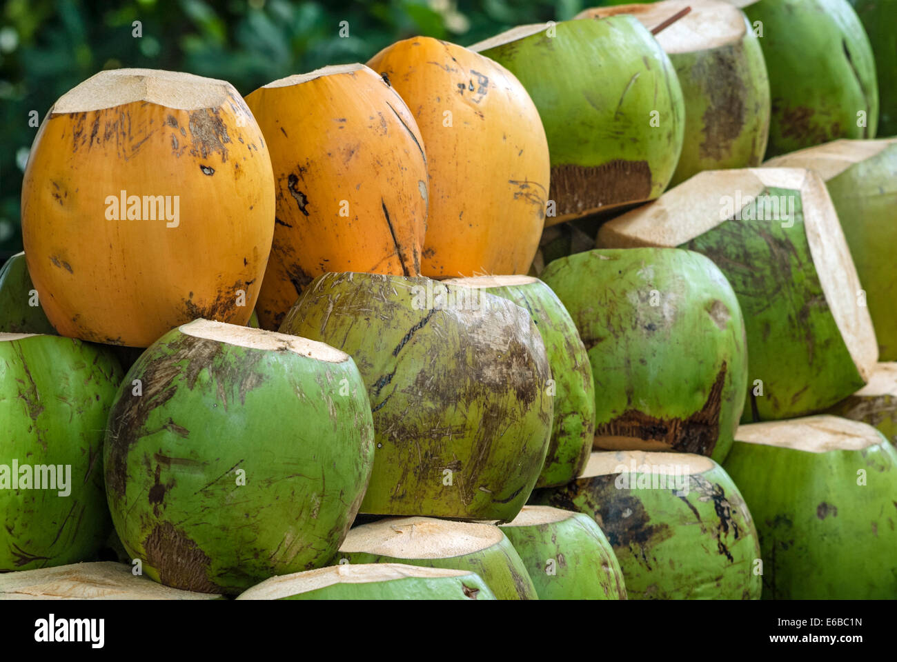Lined up coconuts in a juice shop at the Copacabana Beach, Rio de ...