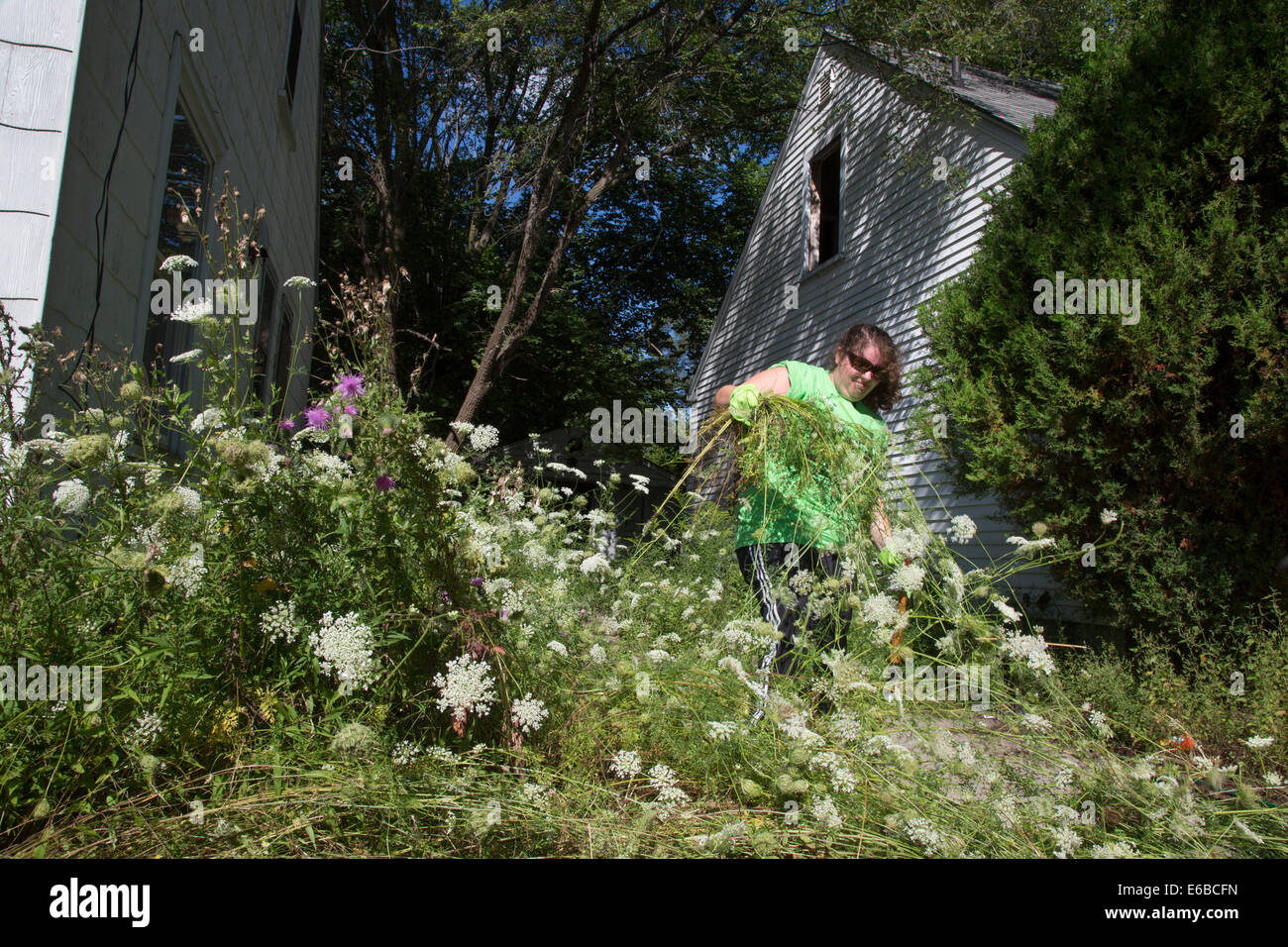 Detroit, Michigan - Volunteers clean up a distressed neighborhood ...