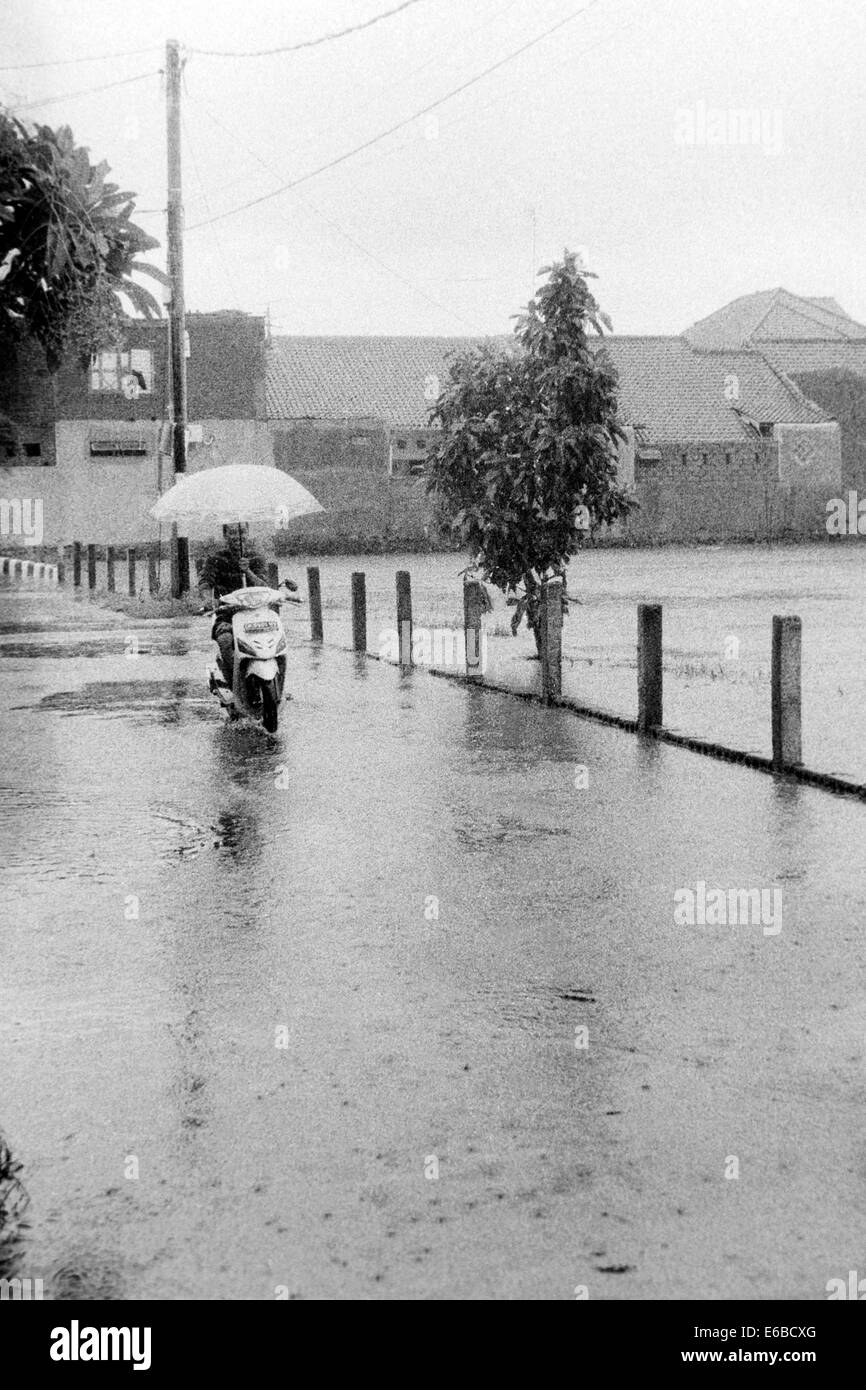 man with umbrella on motorcycle riding in heavy rain during a monsoon ...