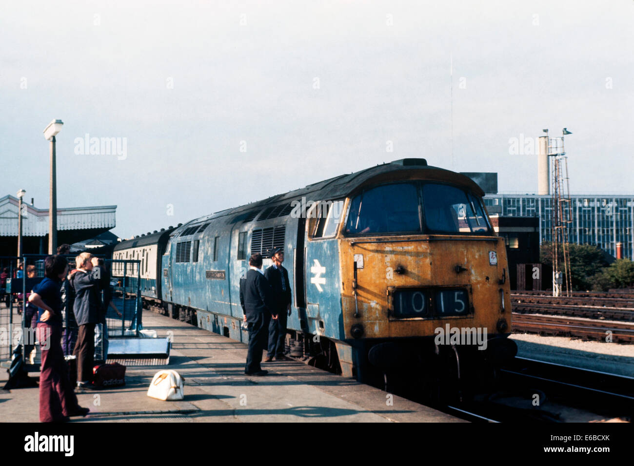 D1015 hi-res stock photography and images - Alamy