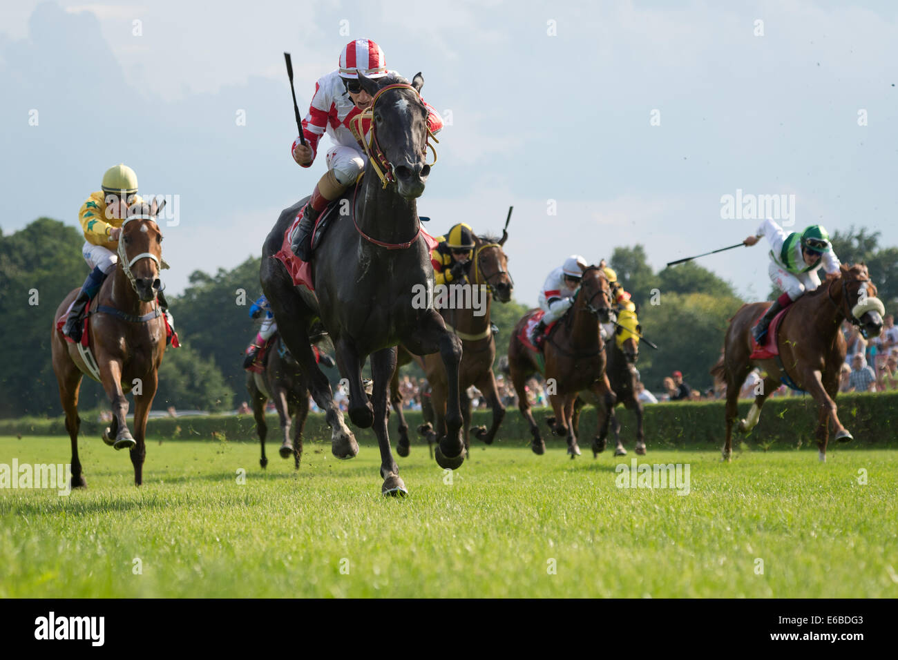 WROCLAW, POLAND - AUGUST 10; 2014: Finish the race for - three year old ...