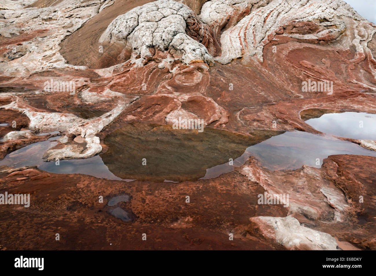 Snow melt pool and reflections, White Pocket, Vermillion Cliffs ...