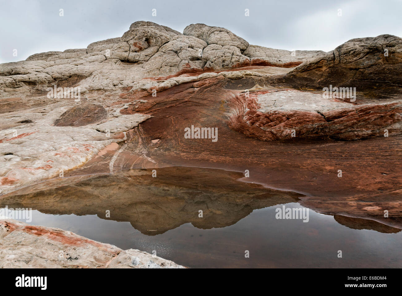 Snow melt pool with reflections, White Pocket, Vermillion Cliffs ...