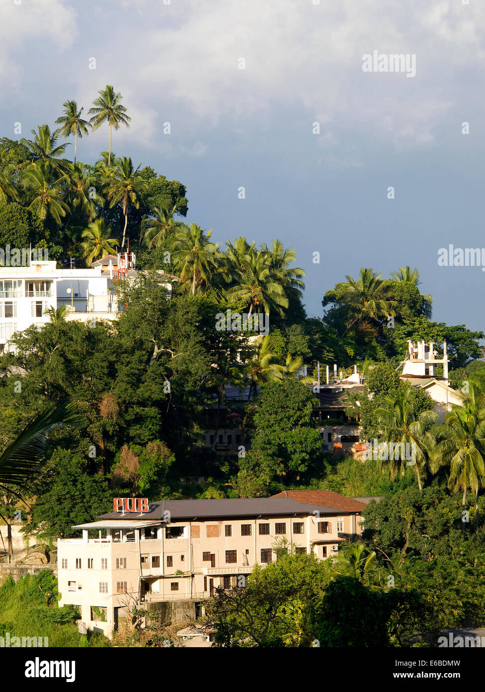 Beautiful palm landscape in the mountains of Kandy, Sri Lanka Stock ...