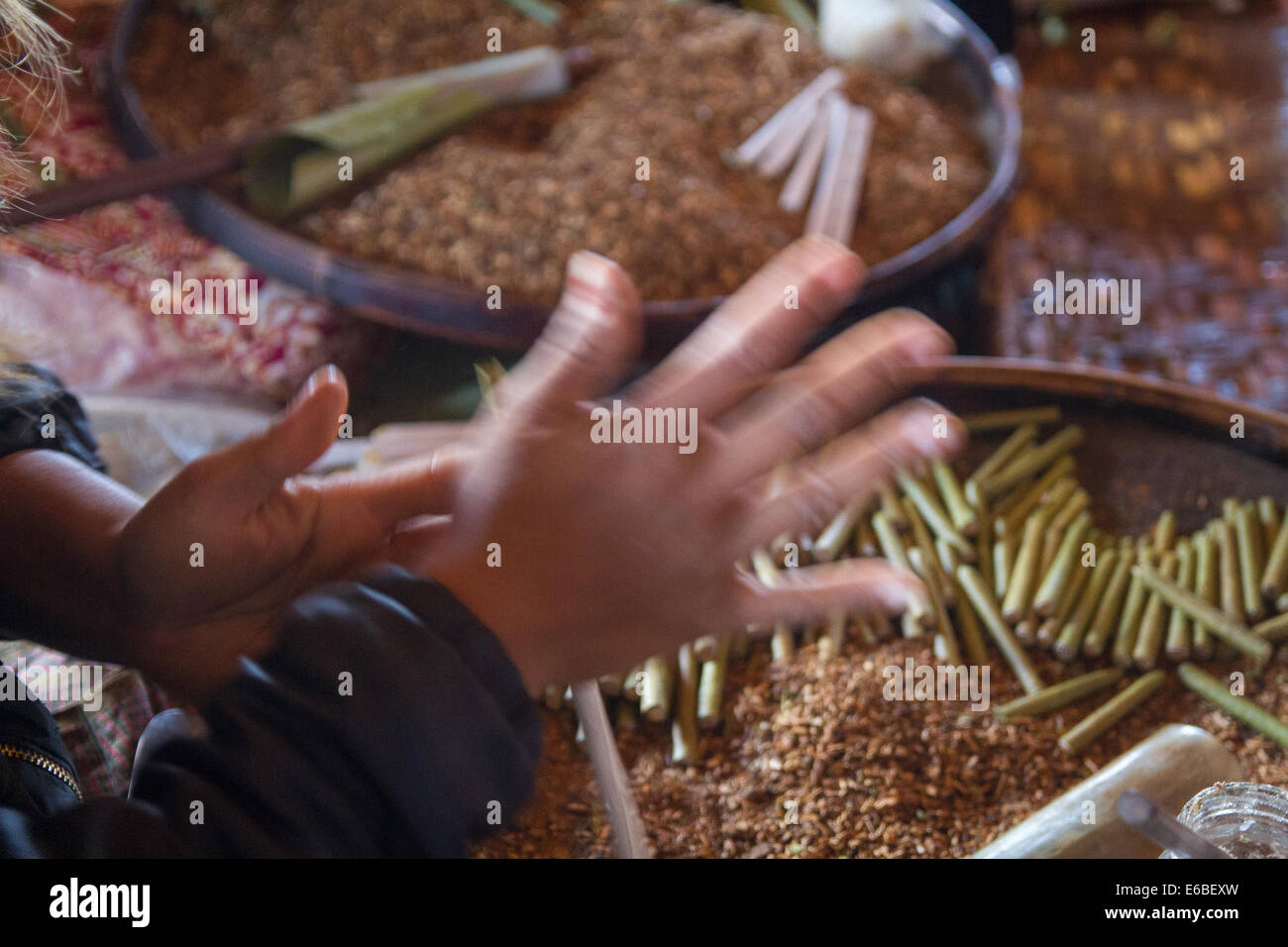 Woman making cheroot at factory, Inle Lake, Shan State, Myanmar. Photo ...