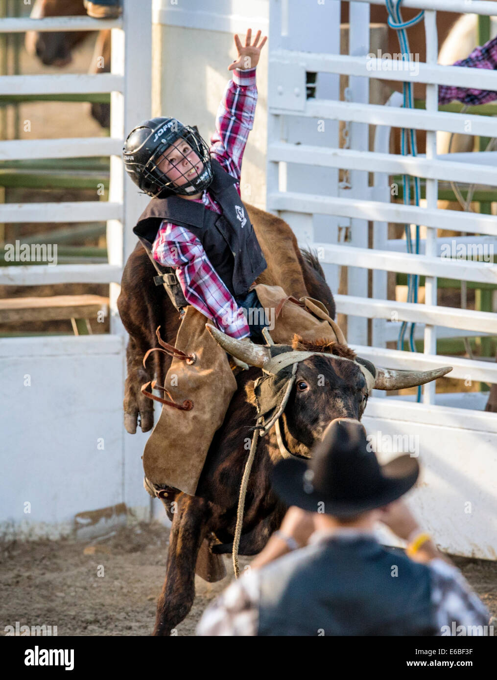 Young cowboy riding a small bull in the Junior Steer Riding competition ...