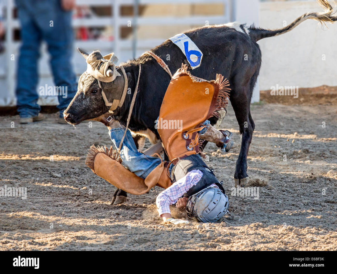 Teenager boy horse ride hi-res stock photography and images - Alamy