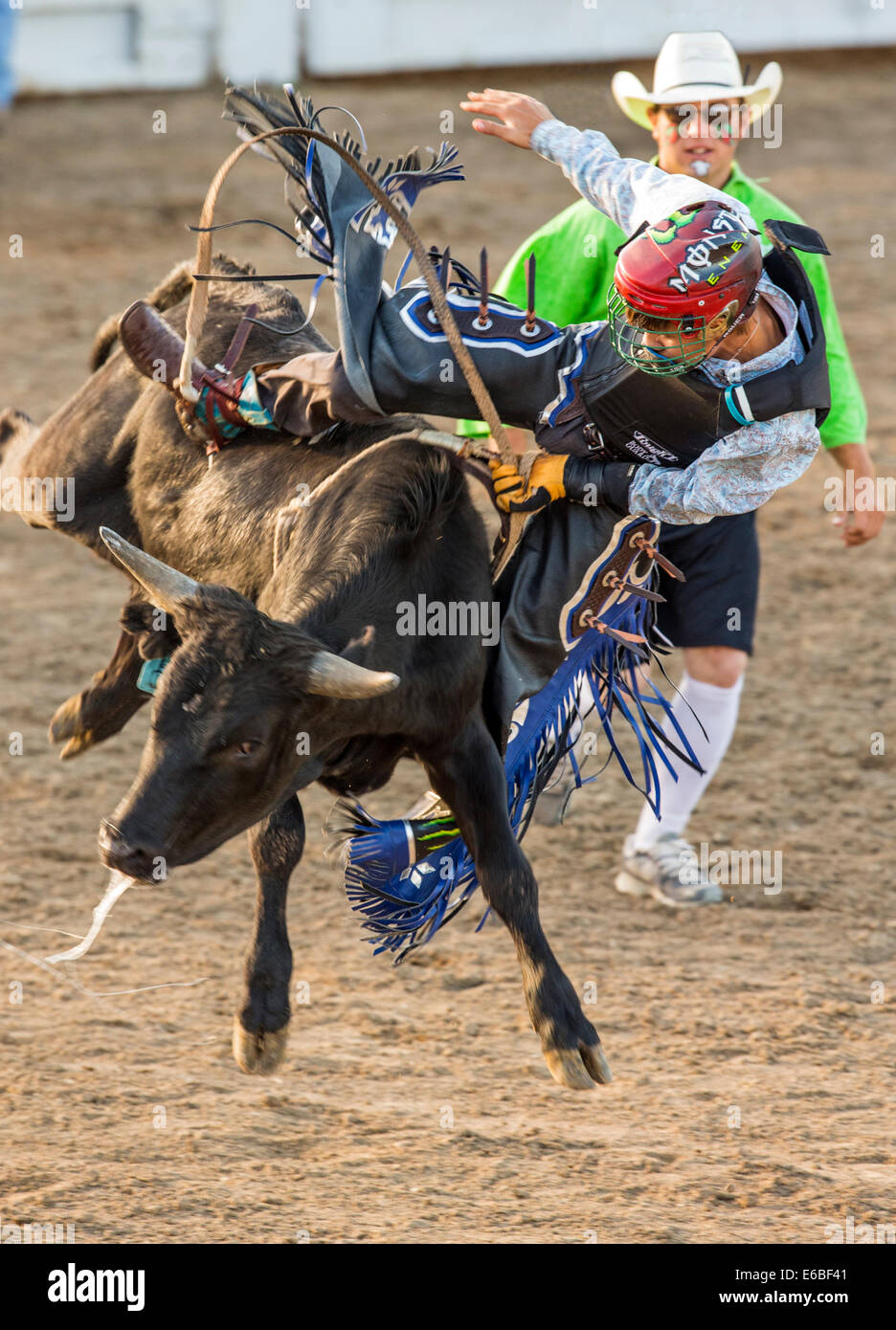 Young cowboy riding a small bull in the Junior Steer Riding competition ...