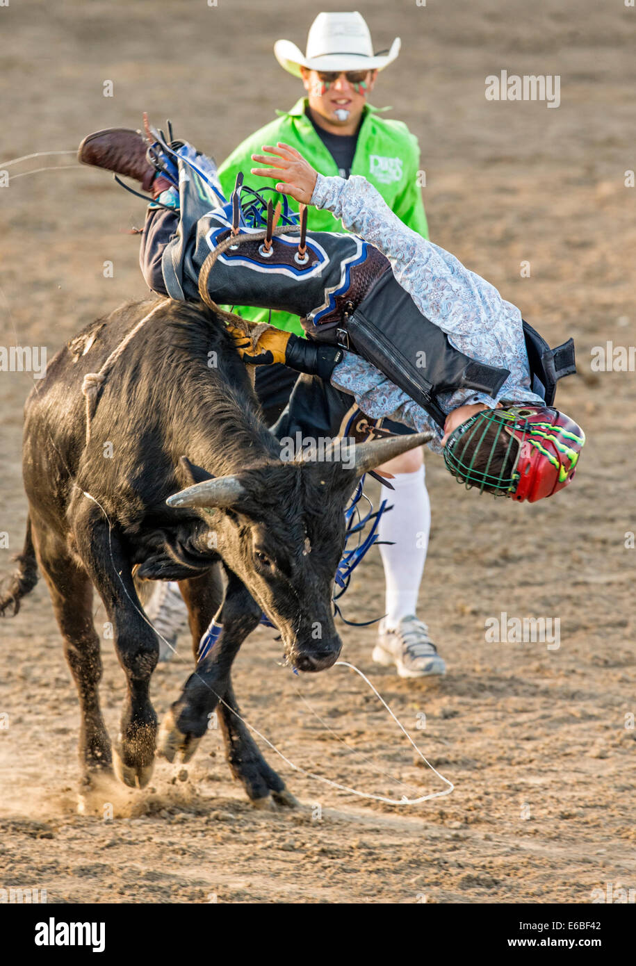 Young cowboy riding a small bull in the Junior Steer Riding competition ...