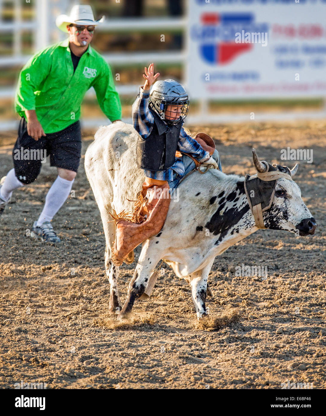 Young cowboy riding a small bull in the Junior Steer Riding competition ...