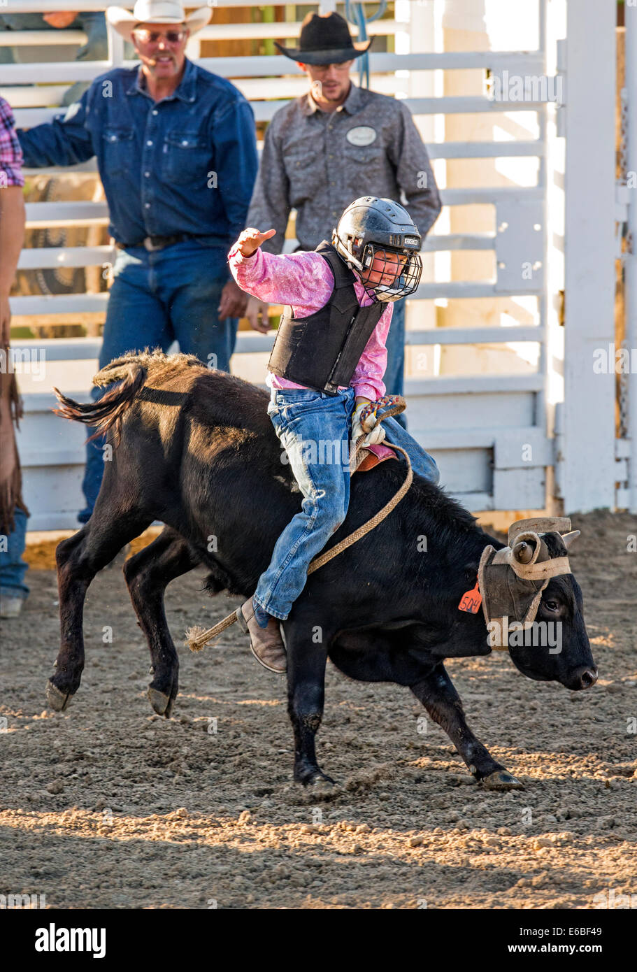 Young cowgirl riding a small bull in the Junior Steer Riding ...