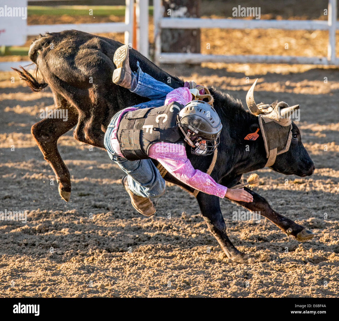Young cowgirl riding a small bull in the Junior Steer Riding ...