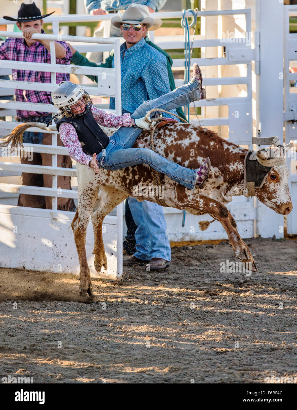 Young cowgirl riding a small bull in the Junior Steer Riding ...