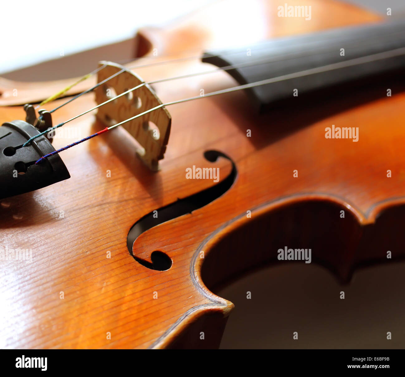 Close up shot of a violin hi-res stock photography and images - Alamy