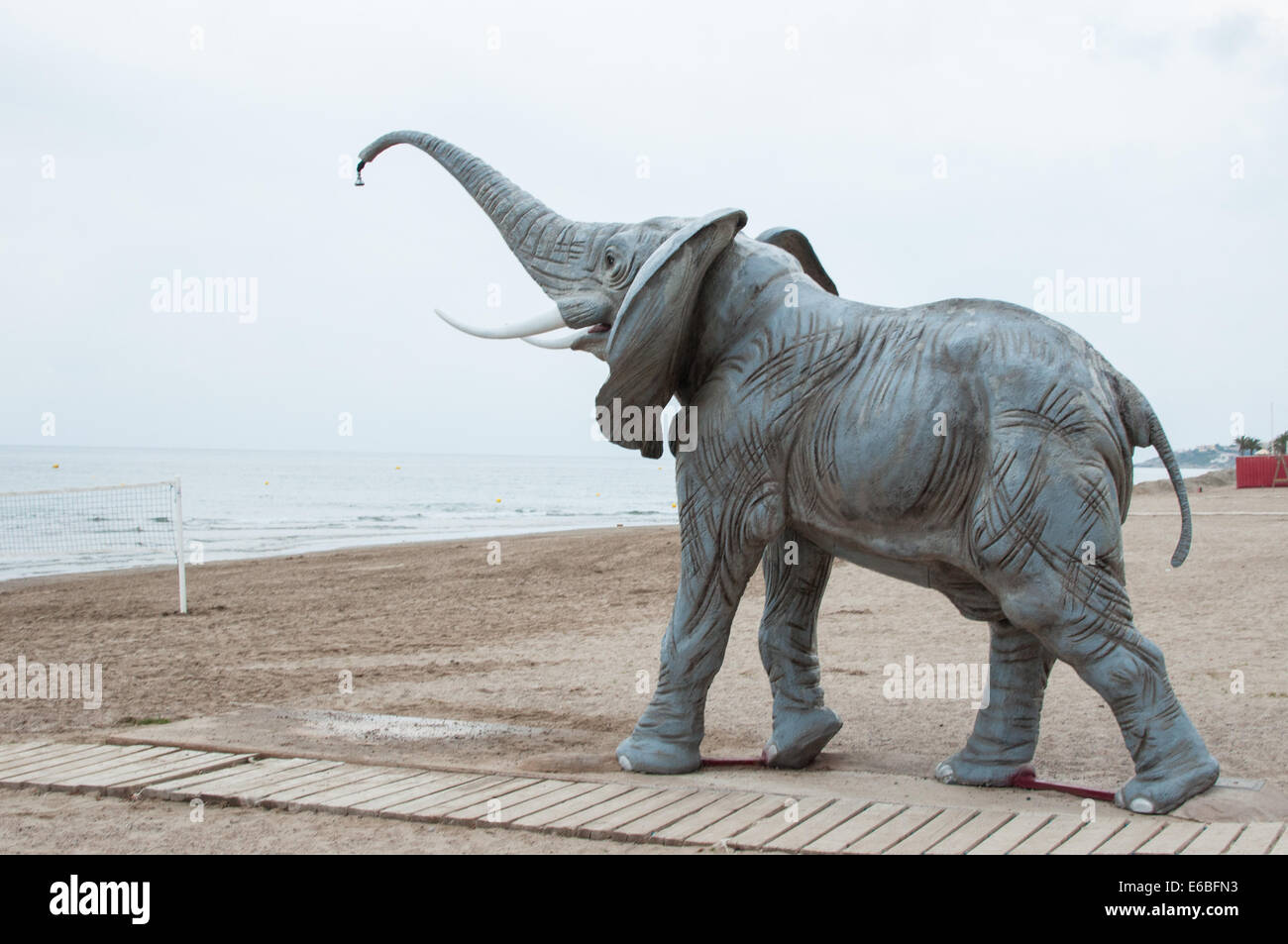 Elephant shower hi-res stock photography and images - Alamy