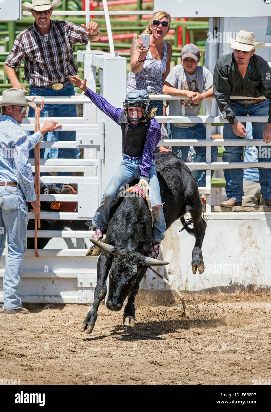Young cowgirl riding a small bull in the Junior Steer Riding ...