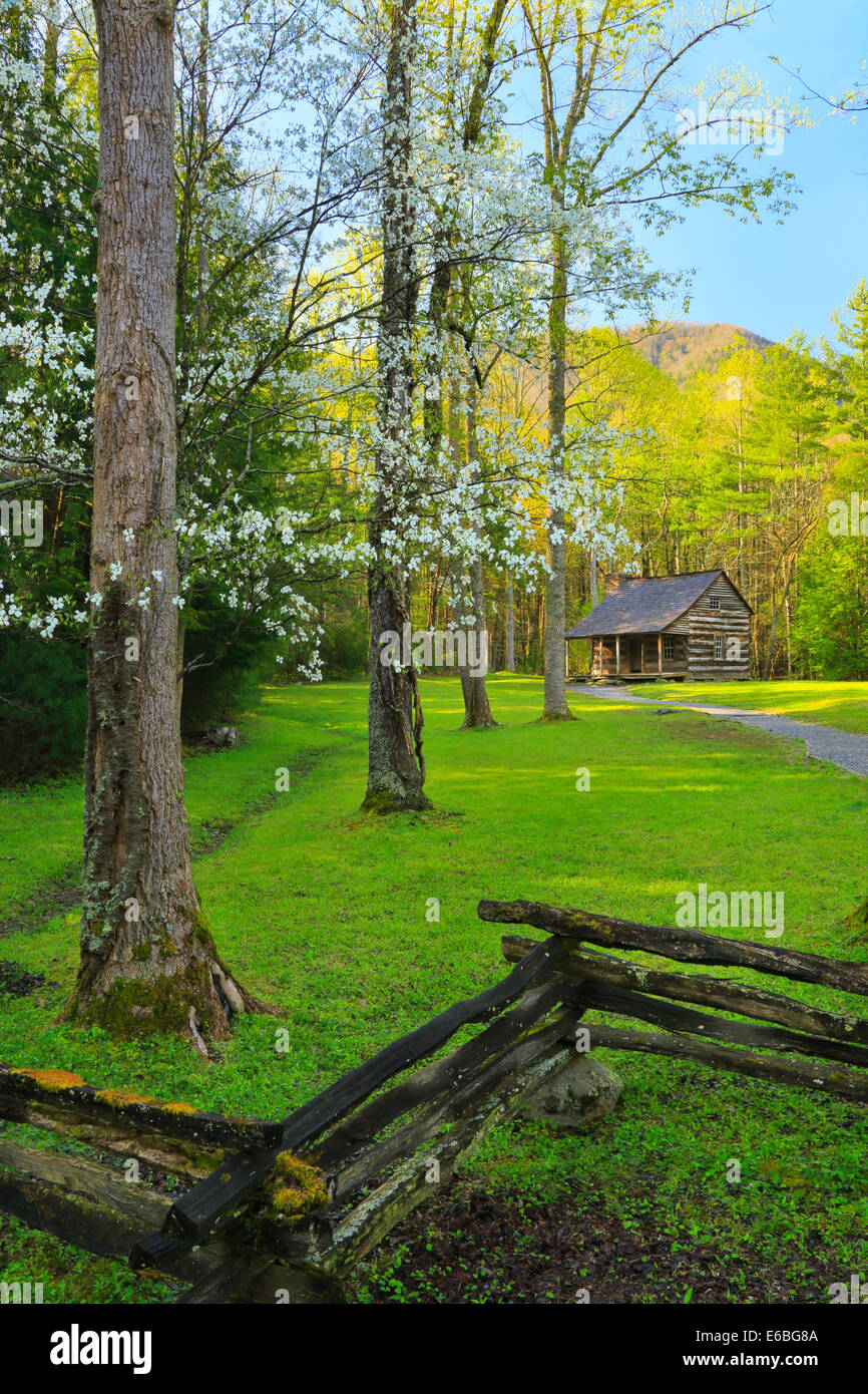 Carter Shields Cabin, Cades Cove, Great Smoky Mountains National Park ...