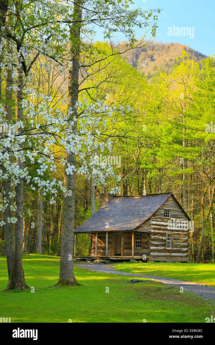 Carter Shields Cabin, Cades Cove, Great Smoky Mountains National Park ...