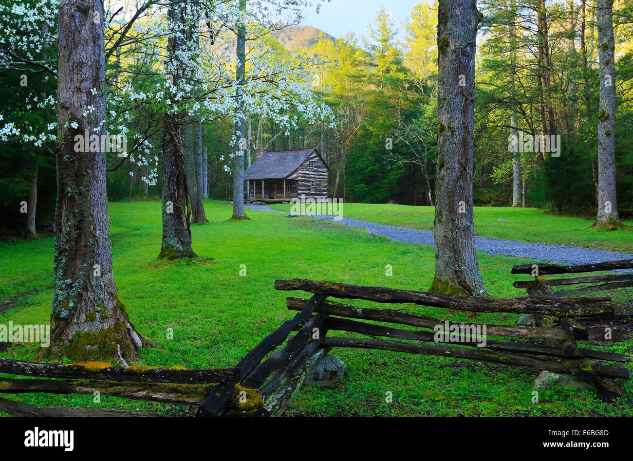 Carter Shields Cabin, Cades Cove, Great Smoky Mountains National Park ...