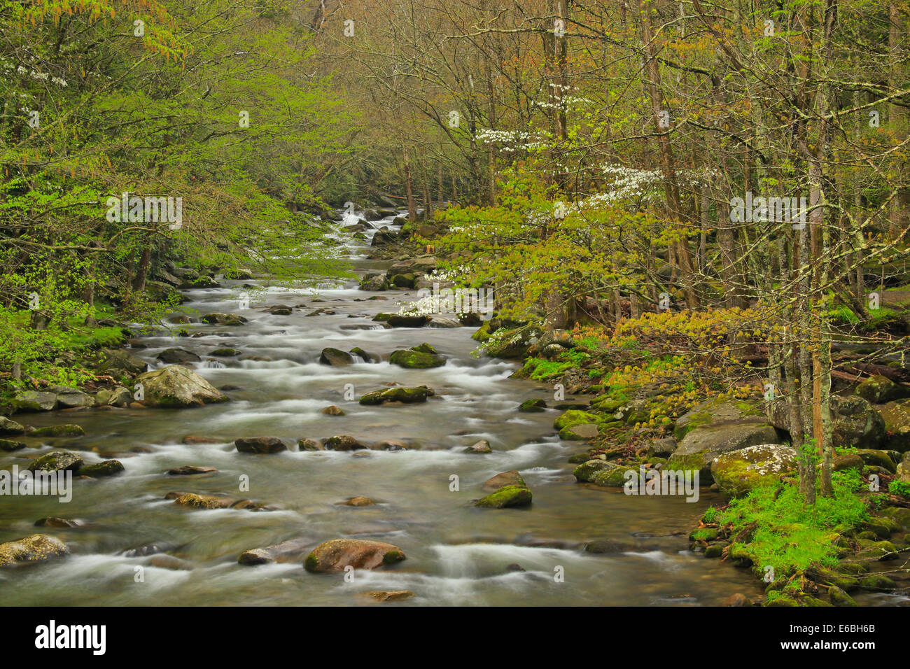 Little River, Elkmont, Great Smoky Mountains National Park, Tennessee ...