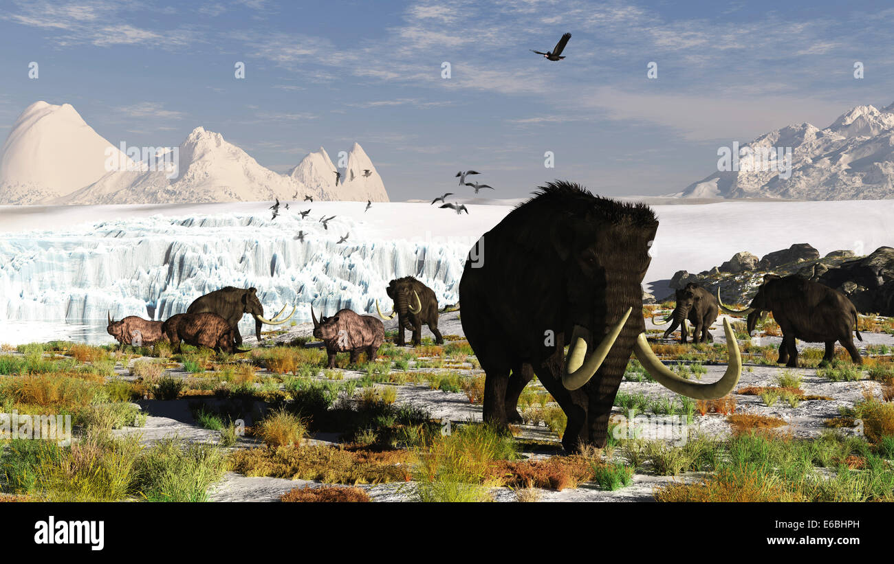 Neogene era hi-res stock photography and images - Alamy