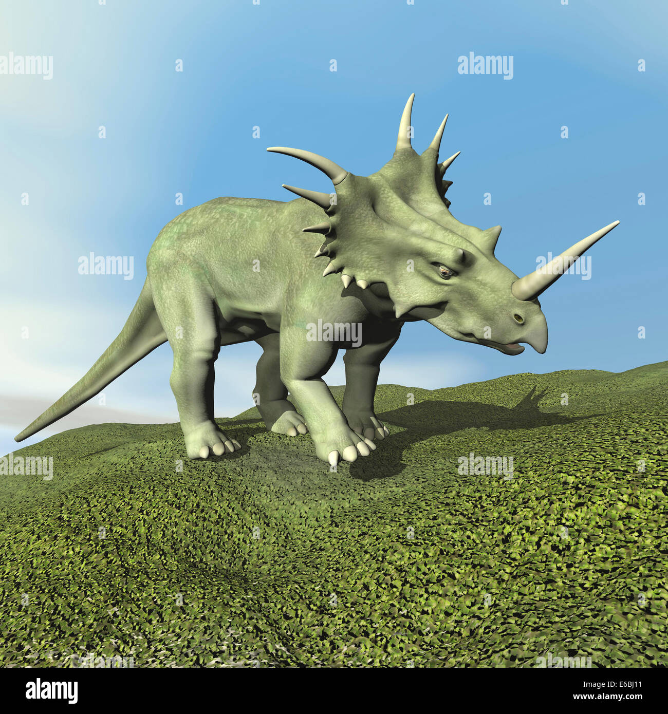 Styracosaurus dinosaur walking on the grass Stock Photo - Alamy