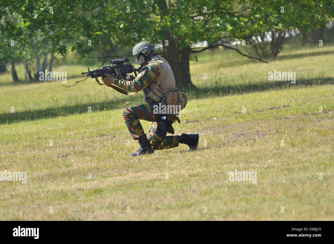 Belgian land component hi-res stock photography and images - Alamy