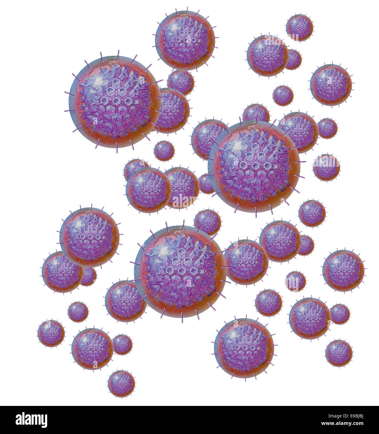 Organism group Cut Out Stock Images & Pictures - Alamy