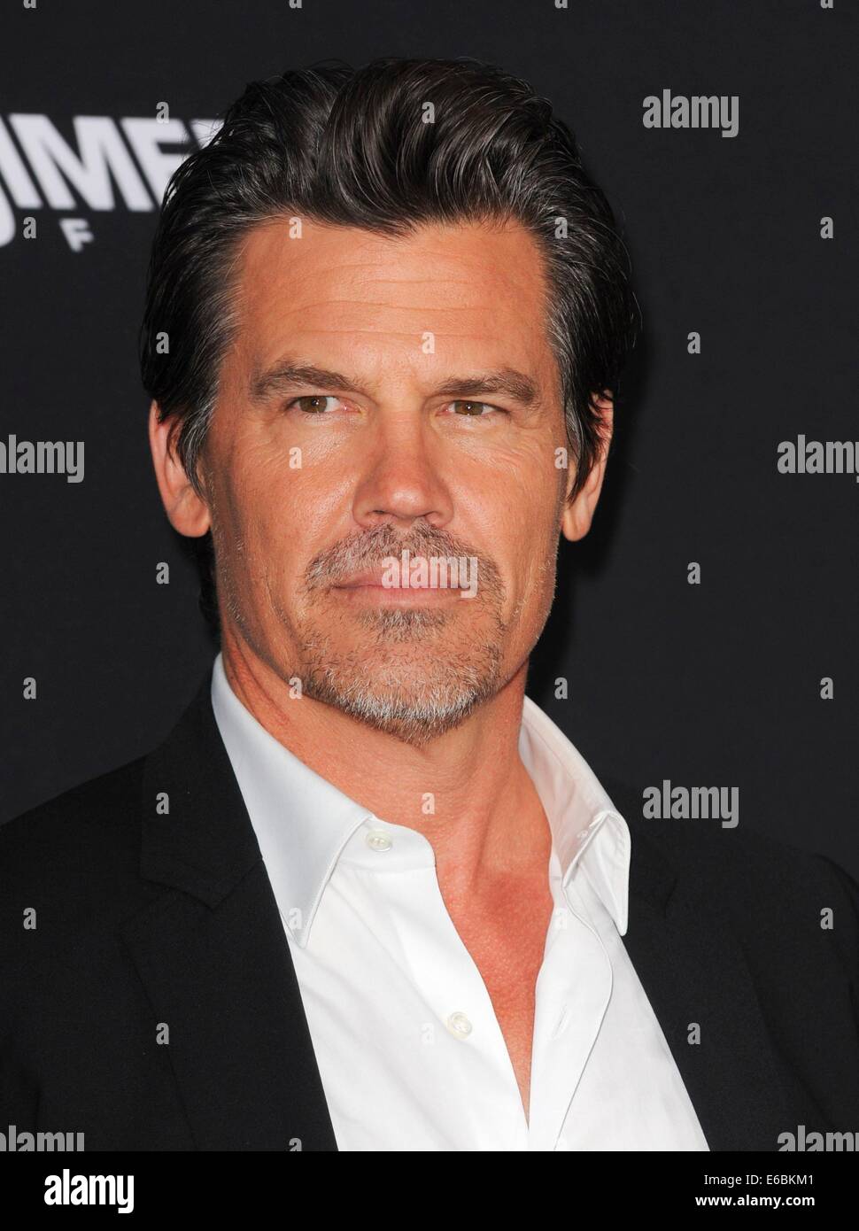 Los Angeles, CA, USA. 19th Aug, 2014. Josh Brolin at arrivals for SIN ...