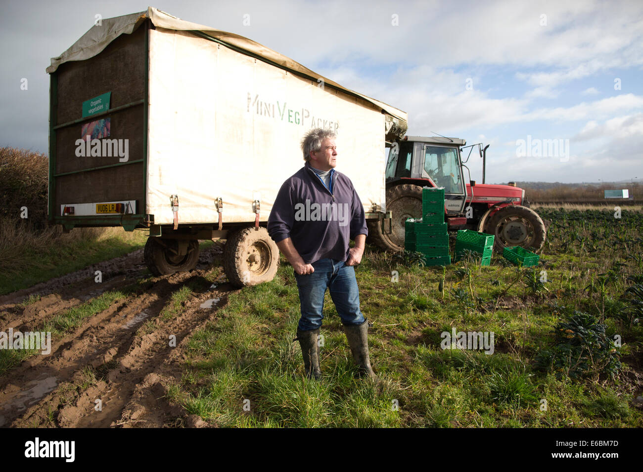 Colin Andrews with his son Ben holding Cavolo nero in the fields of ...