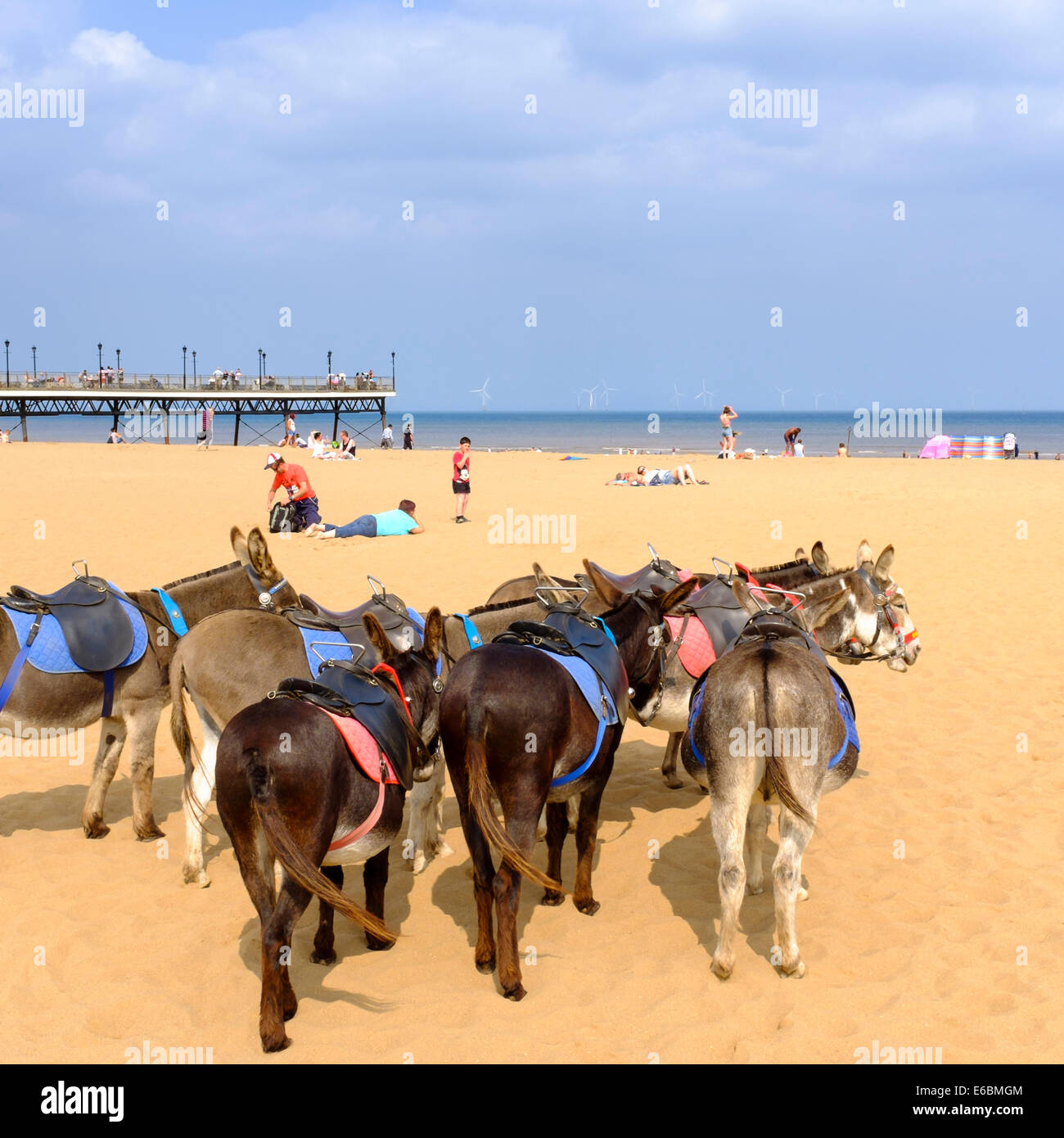 Skegness Beach Donkey Ride Stock Photos & Skegness Beach Donkey Ride ...