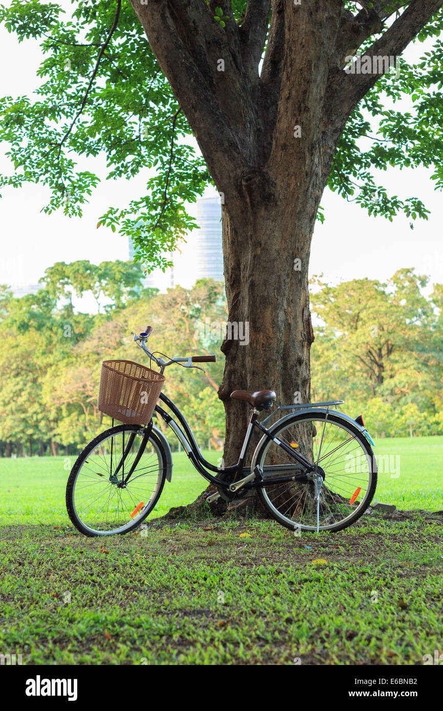 Cycle under tree hi-res stock photography and images - Alamy