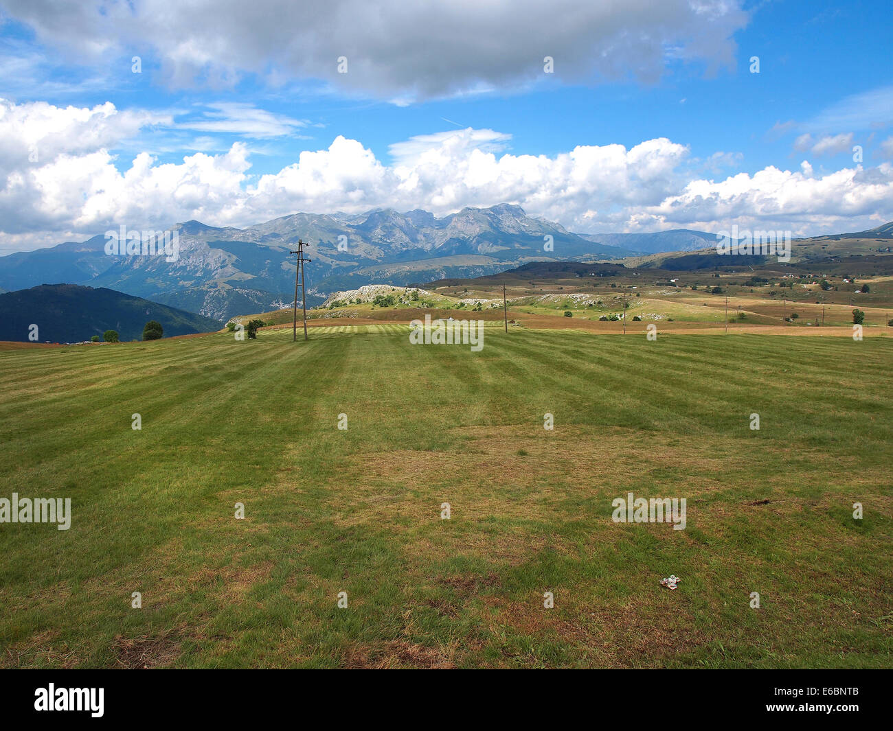 mountains and green field with wild flowers Stock Photo - Alamy